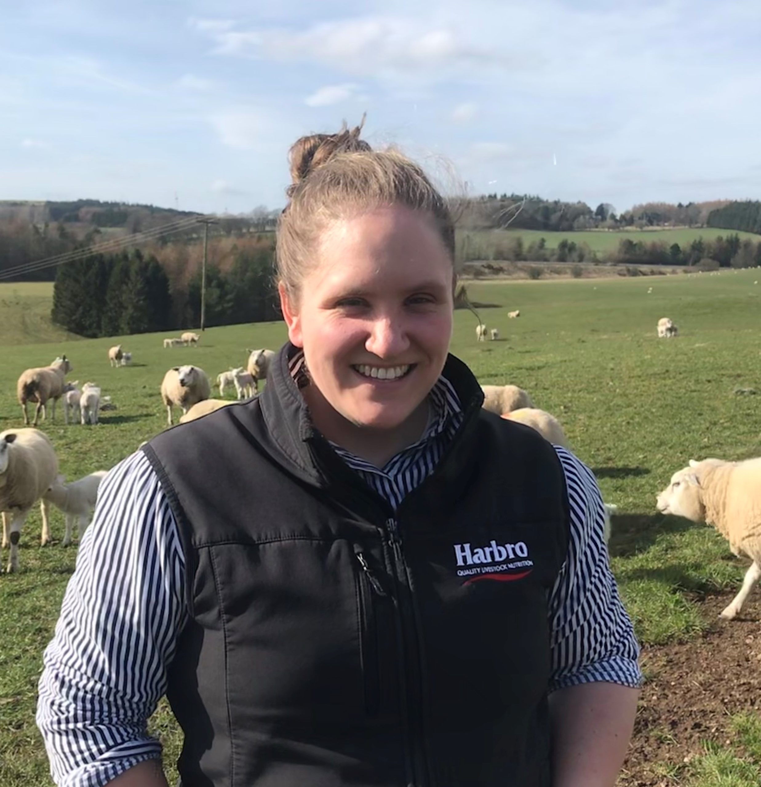 Lambing ahoy! - Harbro