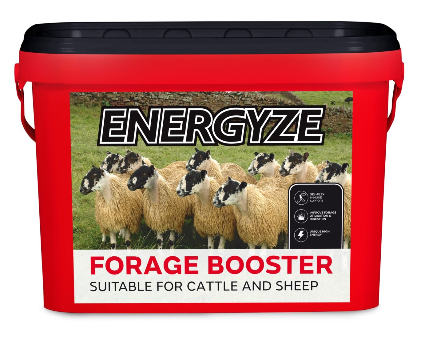 Fantastic finish from forage crops - Harbro